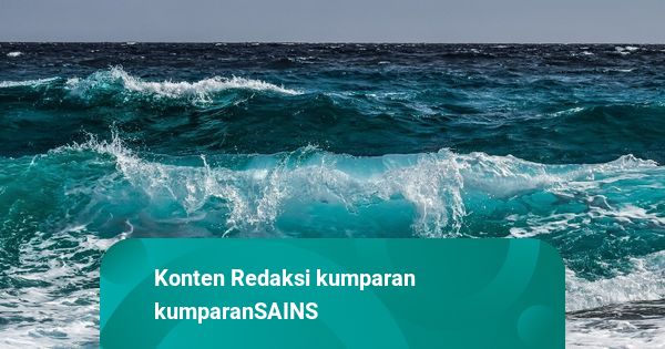 Samudra di Dunia Kini Ada 5 Menurut National Geographic, Apa Saja ...