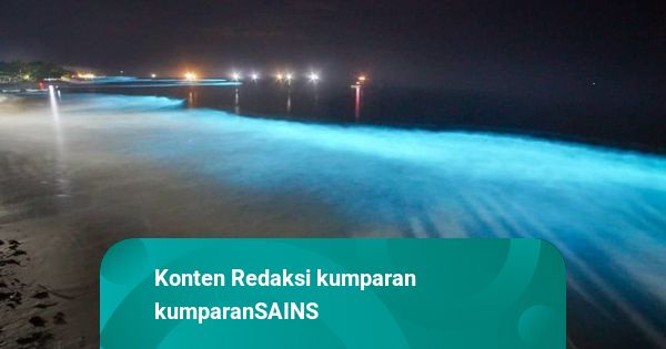 Manfaat Bioluminesensi, Sinar Biru yang Muncul di Pantai Lampung ...