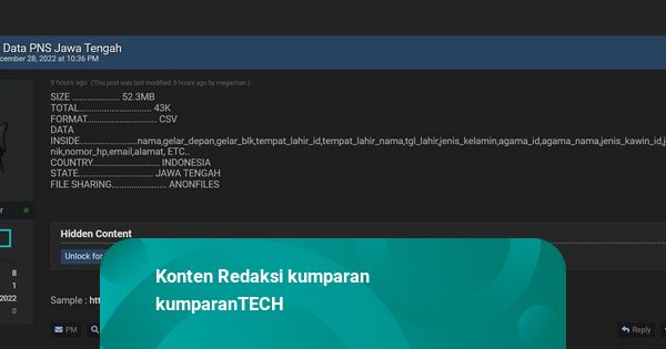 Data 43 Ribu PNS Jawa Tengah Diduga Bocor, Diposting di Forum Hacker ...