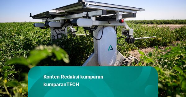 Foto: Robot AI di AS Gantikan Peran Petani Basmi Gulma | kumparan.com