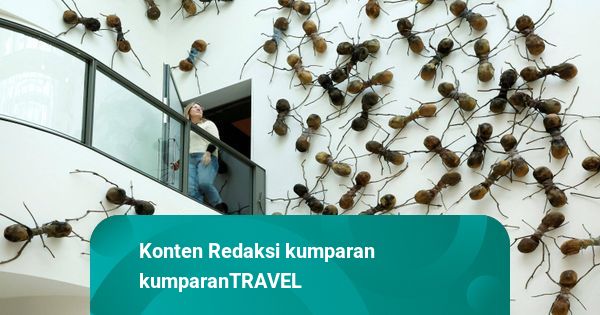 Foto: Melihat Pameran Semut Raksasa yang Menghiasi Rijksmuseum ...