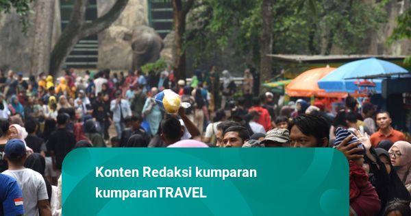 Foto: Taman Margasatwa Ragunan Diserbu Wisatawan saat Libur Natal ...