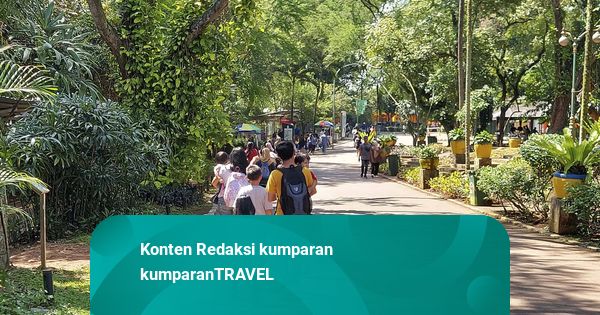 Taman Margasatwa Ragunan Targetkan 80 Ribu Pengunjung pada 1 Januari ...