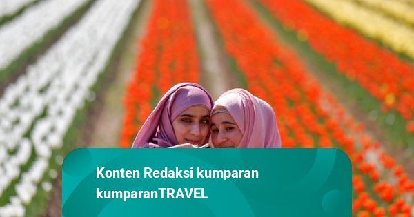Foto: Taman Bunga Tulip Kashmir Jadi Daya Tarik Wisatawan di India ...