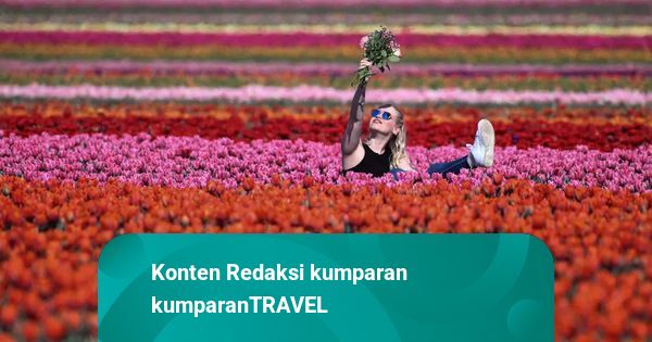 Foto: Indahnya Bunga Tulip yang Bermekaran di Jerman | kumparan.com