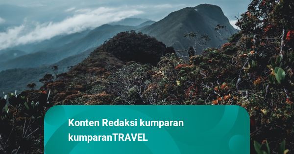 5 Gunung di Indonesia yang Masih Perawan dan Jarang Didaki, Pernah ...