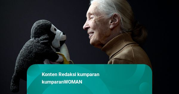 Sosok Jane Goodall, Perempuan yang Membuka Mata Dunia tentang Simpanse ...