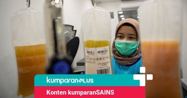 Apa Itu Gammaraas? Obat Infus Pasien Corona Seharga Rp 63 Juta per 13 ...