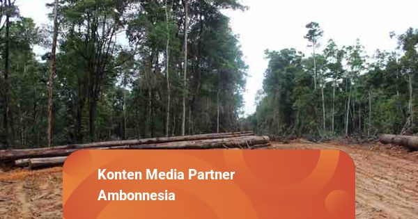 Diduga Lakukan Ilegal Logging, PT Strata Pasific Diprotes Warga ...