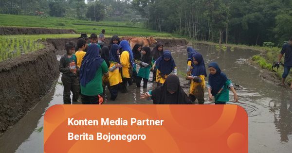 Out Of The Box, SD Mudabo Adakan Fieldtrip Ke PPLH Mojokerto | kumparan.com