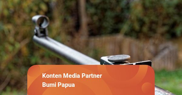 Motif Penyandraan Mapenduma, Kapolda Papua: KKB Ingin Berkuasa ...