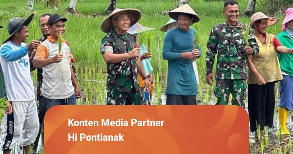 Petani di Purun Kecil Mempawah Kini Bisa Menanam Padi Berkat Program ...