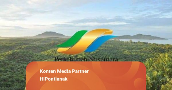 PTPN XIII Buka Lowongan Kerja, Ini Posisi dan Syaratnya | kumparan.com