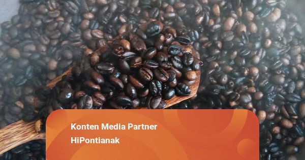 Liberica Kayong Utara, Kopi Dataran Rendah Indonesia | kumparan.com