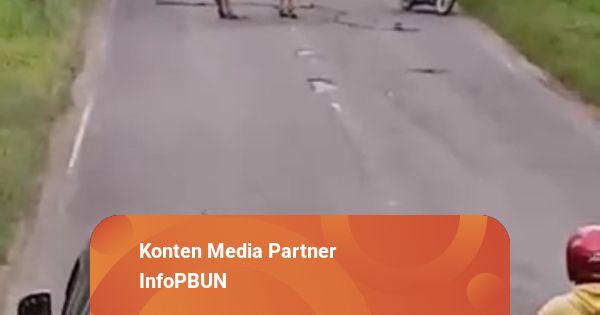 Viral Video Pemudik Lokal dan Truk Angkutan Logistik Dihalangi Sapi di ...