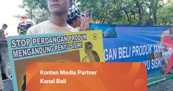 Lestarikan Penyu, Profauna Kampanye 'Keren Tanpa Sisik' | kumparan.com