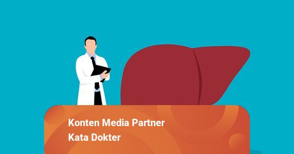 Mengenal Fungsi Empedu dan Kondisi yang Terjadi Jika Kantong Empedu ...
