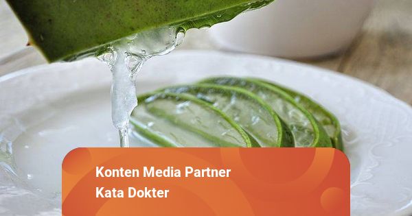 6 Obat Alami Digigit Tawon yang Sudah Bengkak | kumparan.com