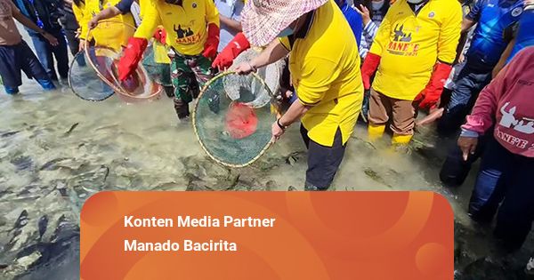 Tradisi Manee di Talaud Sulut Ikut Disebut dalam Upaya Perlindungan ...