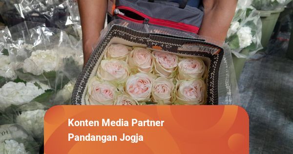 10 Jenis Bunga Cantik di Pernikahan Kaesang-Erina, Impor dari Belanda ...