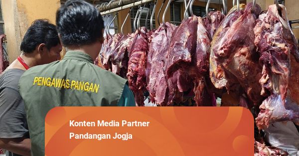 Per Hari Ada 2.650 Kg Daging Sapi Masuk ke Kota Yogya: Butuh Pengawasan ...