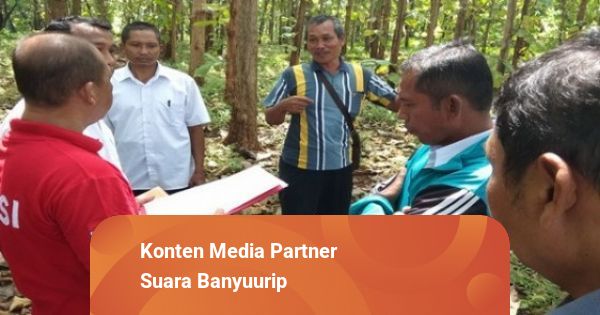 Polisi Inventarisir Pohon Ring Road di Tuban | kumparan.com