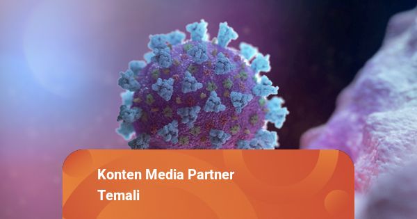 6 Cara Menjaga Imunitas Tubuh agar Kuat Menangkal Virus Corona ...