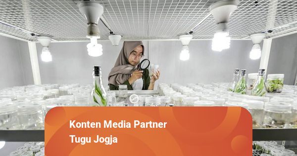 Cerita Mahasiswa di Jogja Sukses Berbisnis Kultur Jaringan | kumparan.com