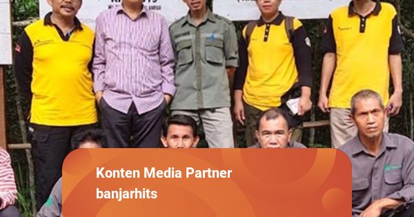 Dishut Pantau Penghijauan di Lahan Kodeco Timber | kumparan.com