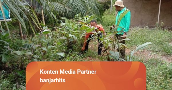 Koleksi Miniatur Hutan Hujan Tropika Banjarbaru Diperkaya | kumparan.com
