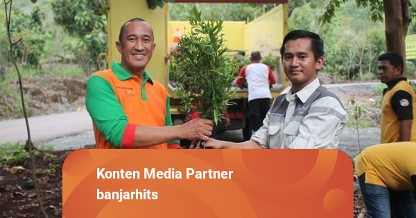 Tahura Sultan Adam Terima Ratusan Bibit Ulin dan Pucuk Merah | kumparan.com