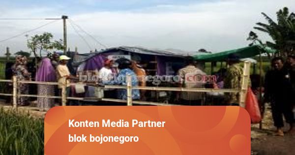 Ha...! Tiap Hari Ada Seribu Orang Datang | kumparan.com