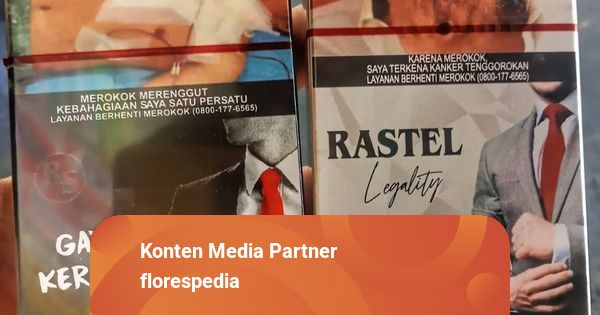 Rokok Diduga Ilegal Berbagai Merek Marak Beredar di Kabupaten Sikka ...