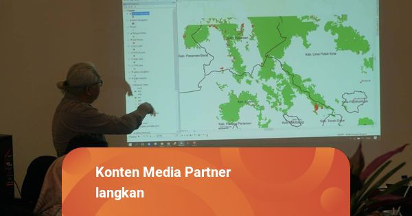 KKI Warsi: Sumbar Kehilangan 27.447 Hektare Tutupan Hutan Sepanjang ...