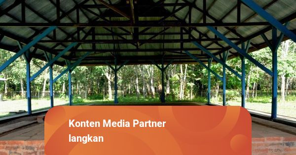 Pemkab Dharmasraya Usulkan Revitalisasi Candi Padang Roco ke Cipta ...