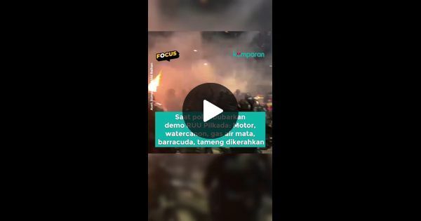 Momen Polisi Bubarkan Demo RUU Pilkada di DPR