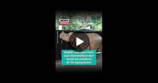 Badak Cula Satu Mati di Taman Nasional Ujung Kulon