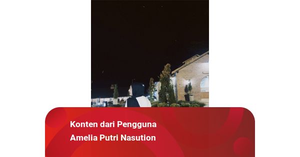 Edukasi 3M Plus! Upaya Pencegahan Penyebaran Jentik Nyamuk | kumparan.com