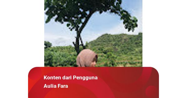 Penanaman “Apotek Hidup” di Desa Bojong Tengah Kulon Progo | kumparan.com