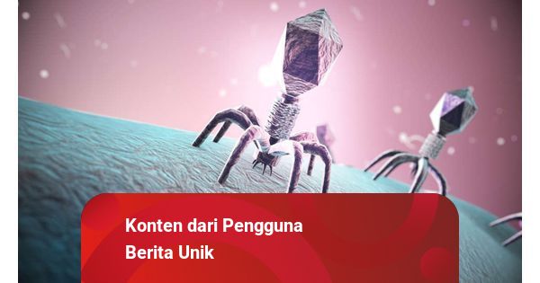 Perkalian Matriks 2x2: Cara Mengerjakan dan Contoh Soal | kumparan.com