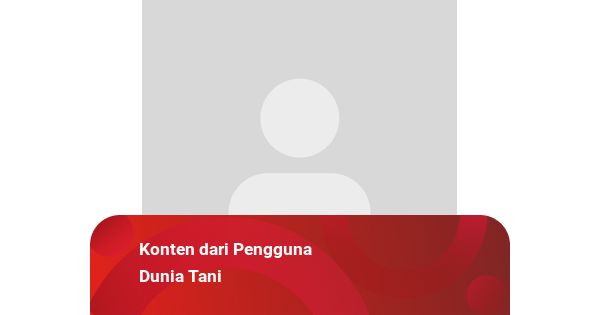 Rahasia Sukses Budi Daya Kopi Nusantara | kumparan.com