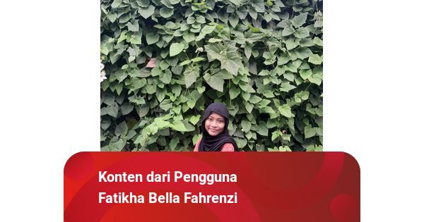 Efektivitas Foto Thorax Indikasi TBC dalam Radiografi | kumparan.com
