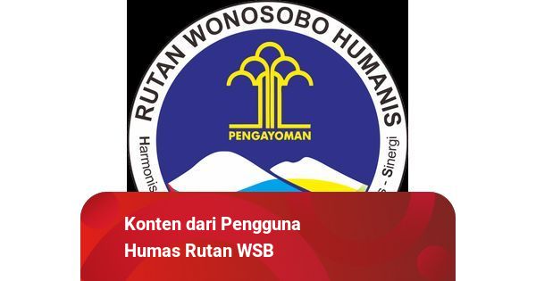 Sebar Form SRQ-29, Perawat Pantau Kesehatan Jiwa WBP | kumparan.com