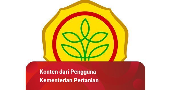 Unggas Lokal, Simbol Kebangkitan Ekonomi Kerakyatan | kumparan.com
