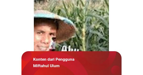 Prestasi Desa di Hari Desa Nasional, Tim Karanggondang Tembus Final ...