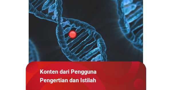 dna artinya