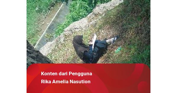 Bagaimana Perspektif Islam Mengenai Perdagangan Tikus Putih? | kumparan.com