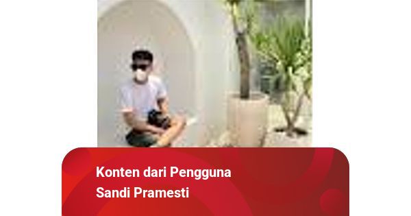 Potret Politisi Busuk pada Novel Sophismata Karya Alanda Kariza ...