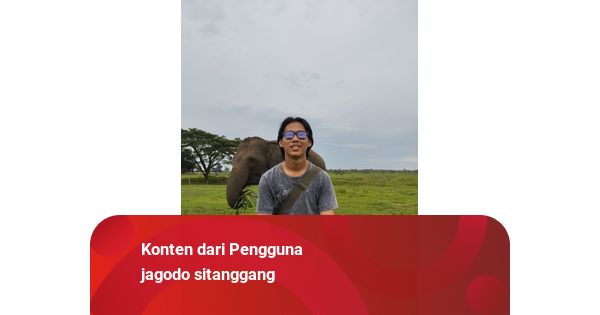 Krisis Hutan Indonesia: Ancaman Serius yang Butuh Tindakan Nyata ...