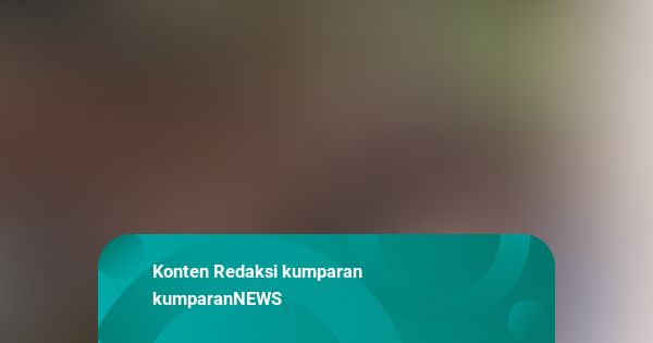 Penyebab 34 Domba di Kuningan Mati dengan Luka Gigi di Leher: Ulah ...